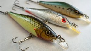 Bandit Official Website - Premium Fishing Lures